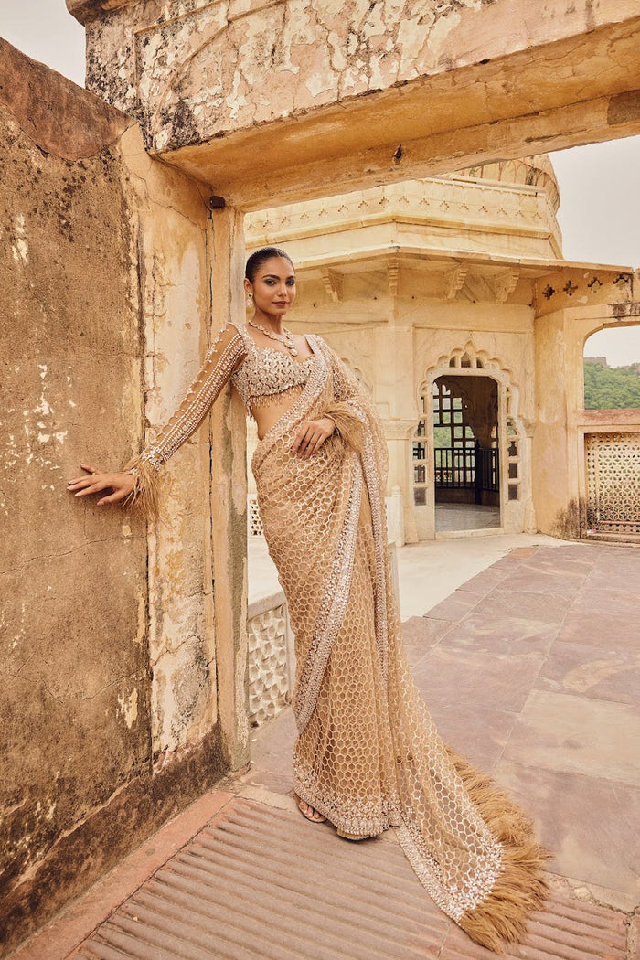 Buy Jahan Champagne Hand Embroidered Saree | Rouje